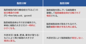 脂肪溶解注射（FatX core） | セイコメディカルビューティクリニック｜鹿児島｜福岡